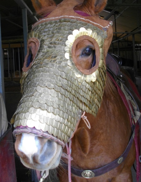 "Peuples Cavaliers" d'Asie centrale. • Voir le sujet - Chanfrein squamata